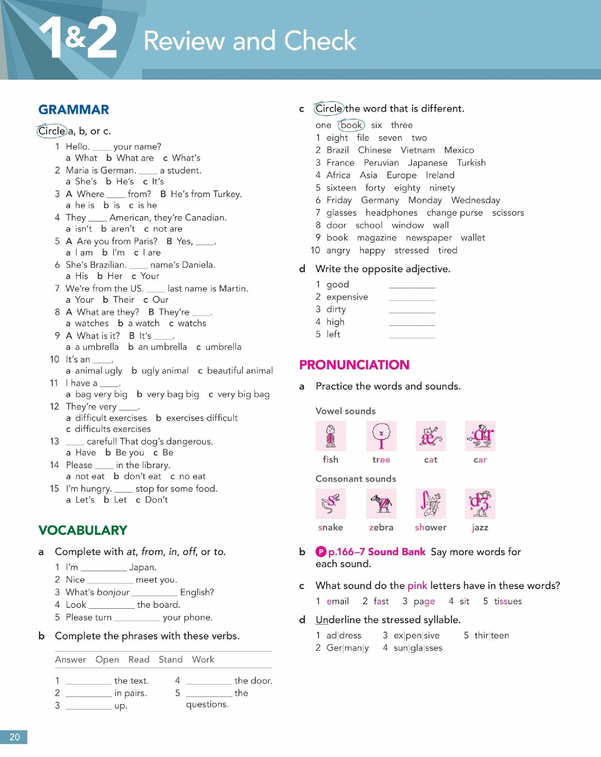 Unit 02 / R&C – Elevation English